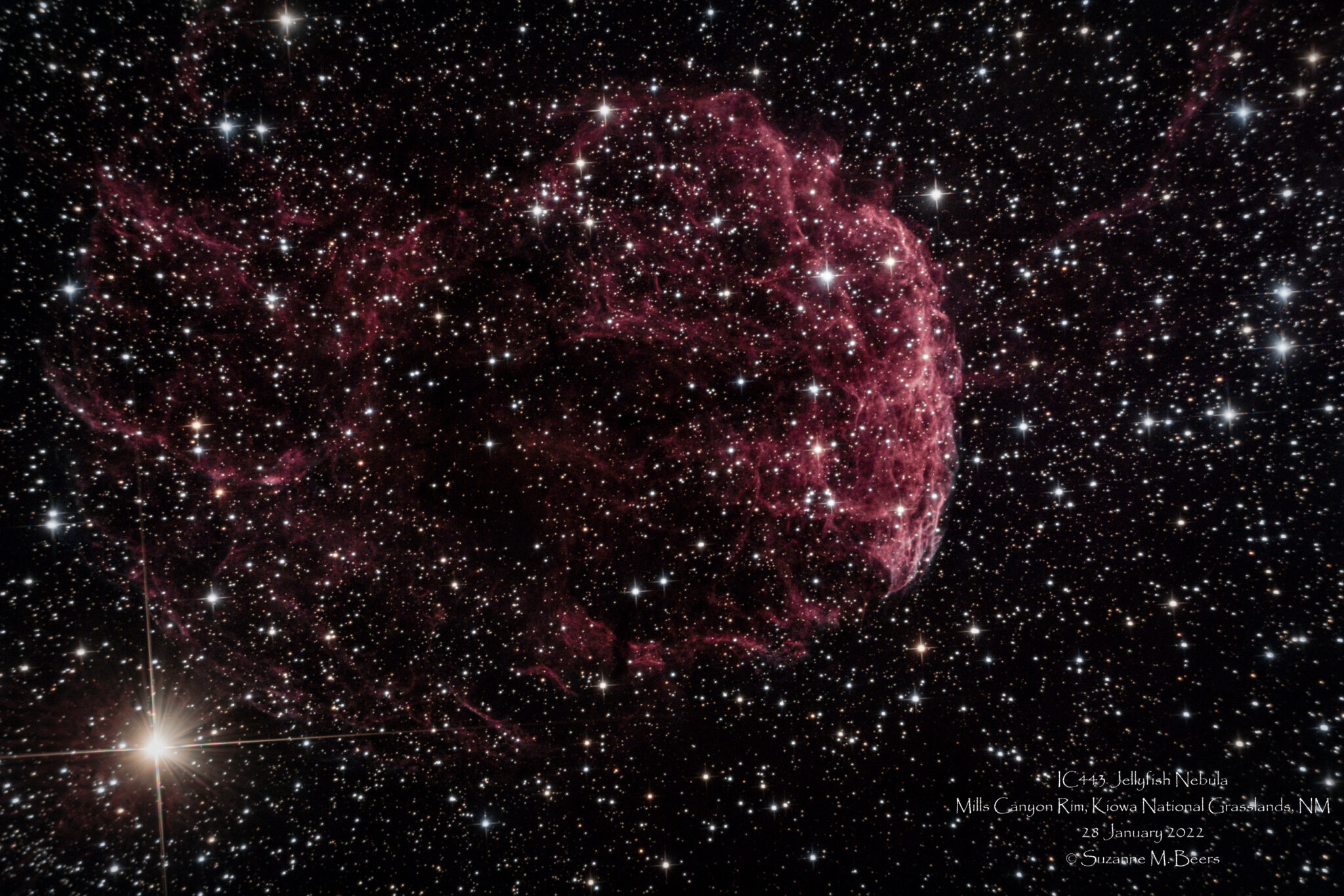 IC443 Jellyfish Nebula - Beers Astrophotography
