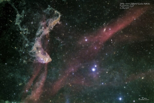 SH2-126 & LBN437 Gecko Nebula - Beers Astrophotography