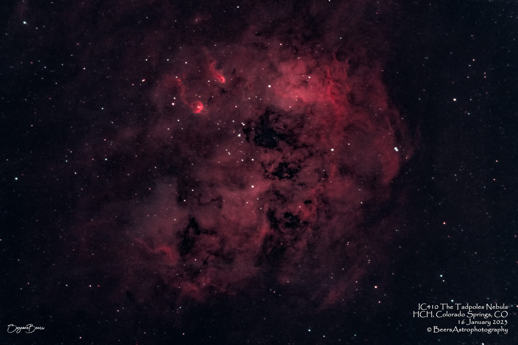 IC410 The Tadpoles Nebula - Beers Astrophotography