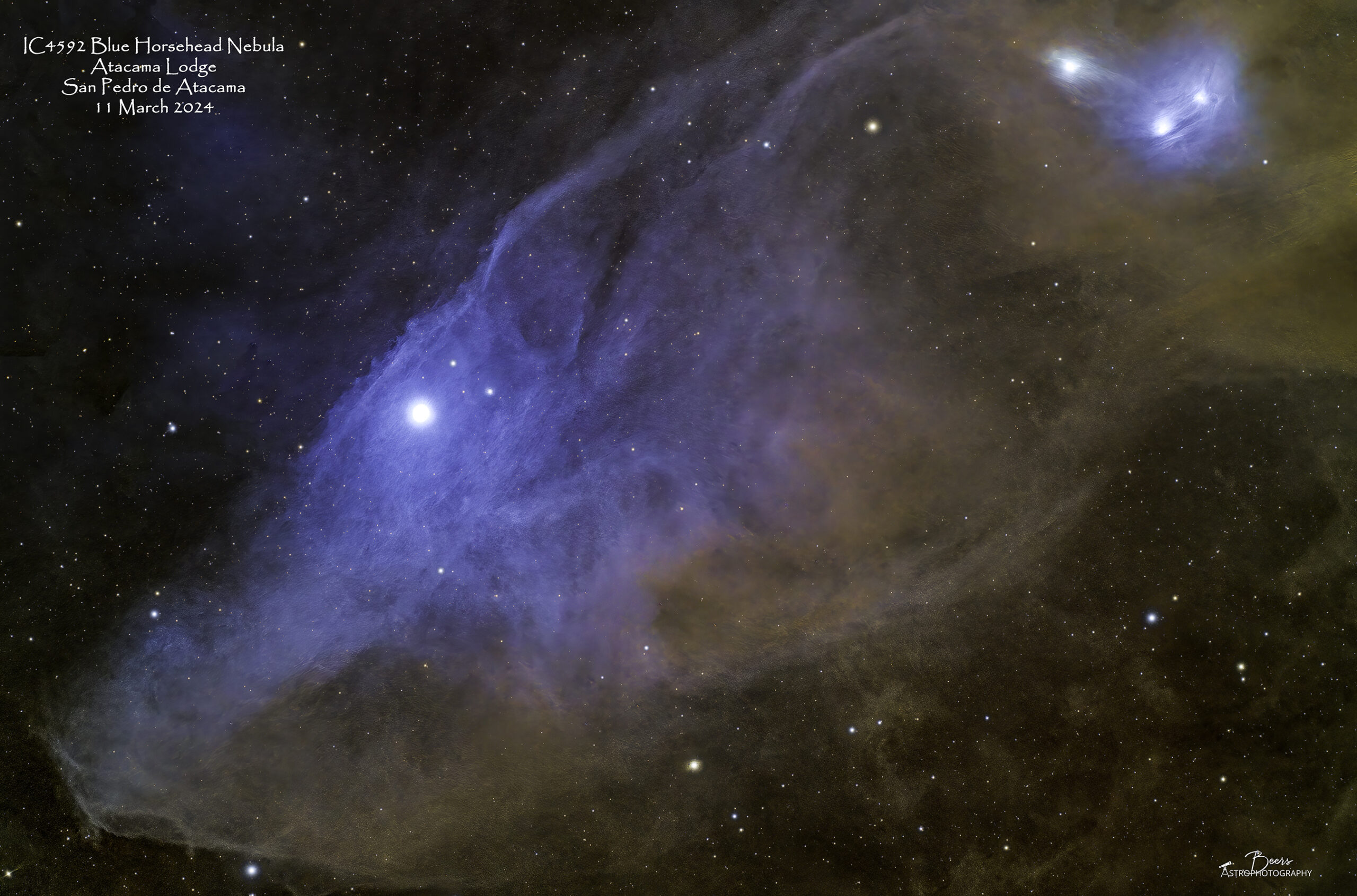 IC4592 Blue Horsehead Nebula - Beers Astrophotography