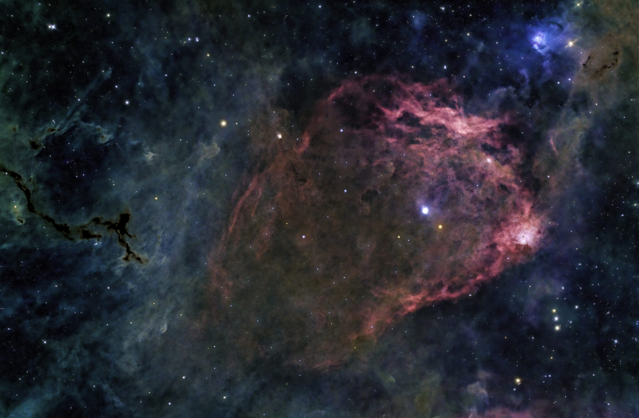 SH2-129 Flying Bat & OU-4 Giant Squid Nebulae - Beers Astrophotography