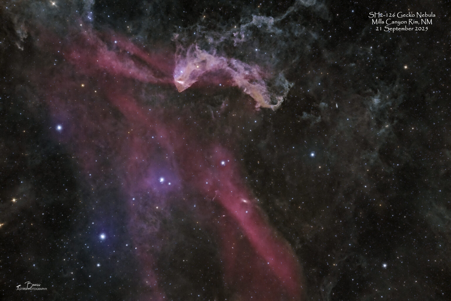 SH2-126 & LBN437 Gecko Nebula - Beers Astrophotography