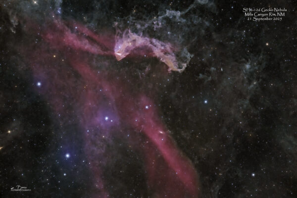 SH2-126 & LBN437 Gecko Nebula - Beers Astrophotography